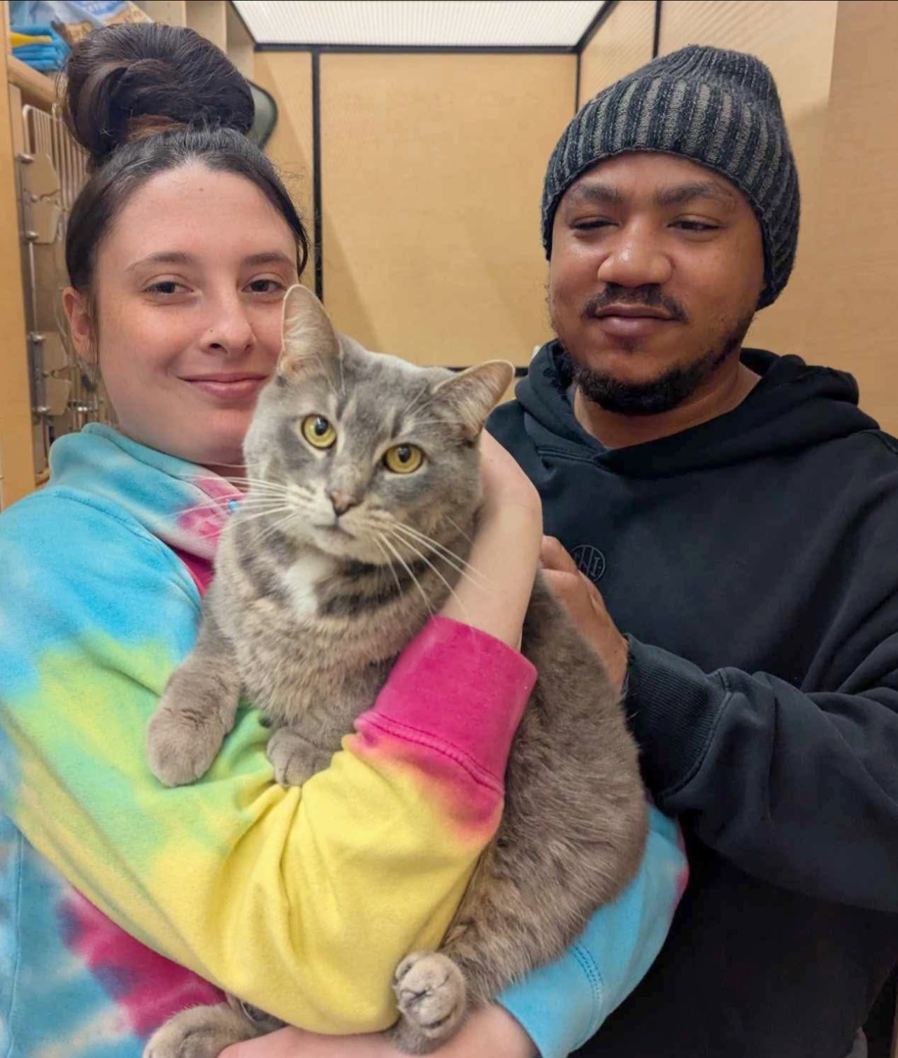 Rescue Animals for Adoption - Find Your New Best Friend » Stark Humane ...